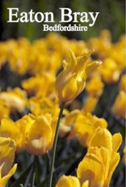 Eaton Bray village website